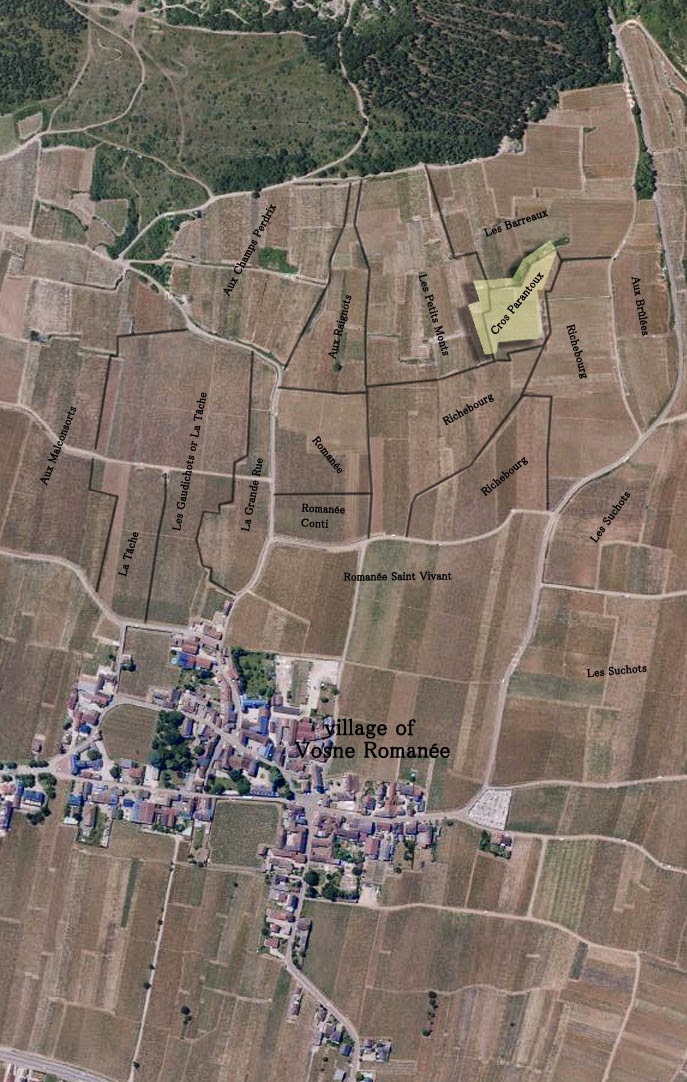 Wine -- Mise en abyme: Domaine Méo-Camuzet Cros Parantoux 2006: An ...