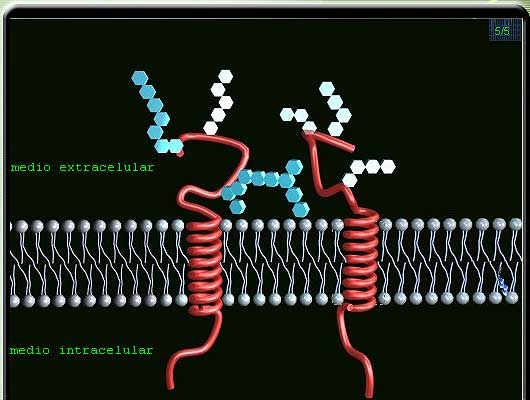 2207 2016-2: Equipo 11-Proteínas