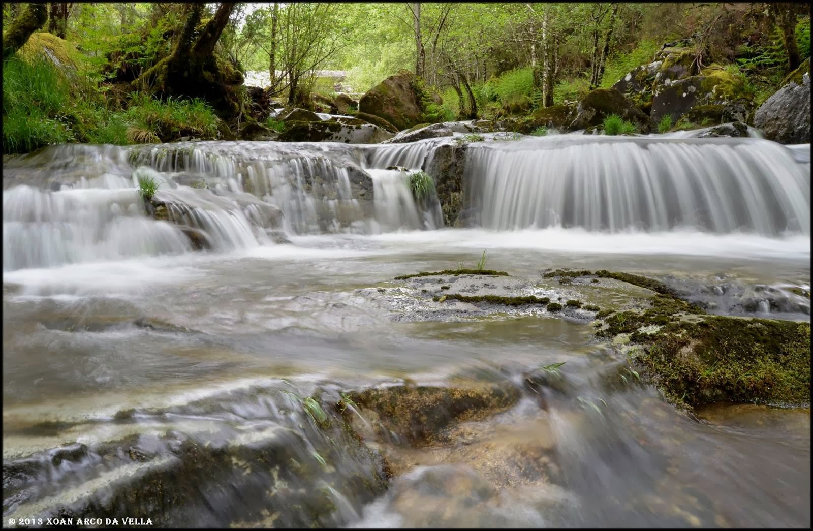 XOAN ARCO DA VELLA: A AUGA EN GALICIA