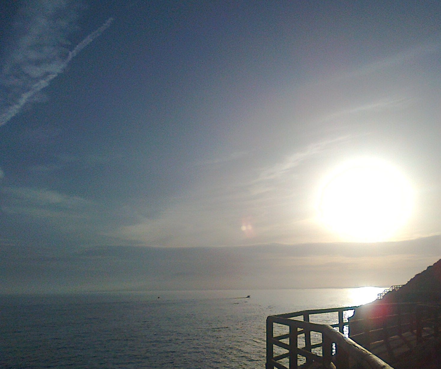 FENIX: EL AVE DE LA INMORTALIDAD: EL SOL como divinidad