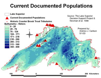 The Agatelady: Adventures and Events: Coaster Brook Trout