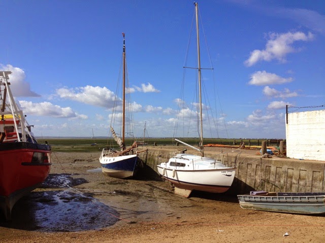 Bill's Log: Snapdragon 26