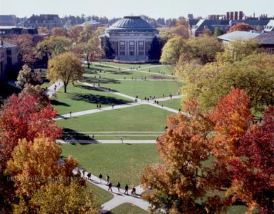 Seeing Jesus in Everything: Beauty & the Beast