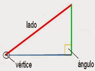 Blog 2º B - C.E.I.P. Arco Iris Aguadulce (Almería) : VÉRTICE Y LADO