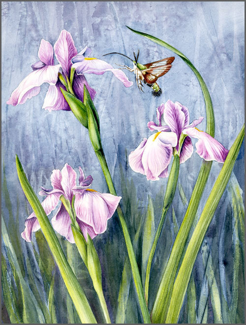 Where ART Lives Gallery Artists Group Blog: Botanical Fine Art Painting ...
