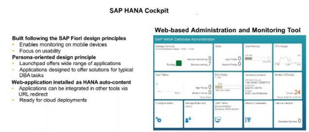 SAP HANA ADMIN Tools | Pioneer SAP HANA ADMINISTRATION
