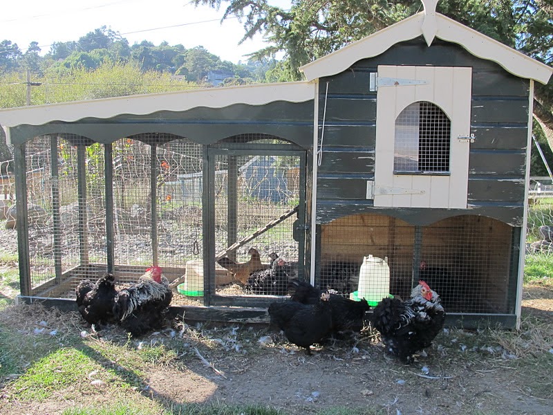 Urban Chicken Housing - Holland Hen Houses - Munchie Musings