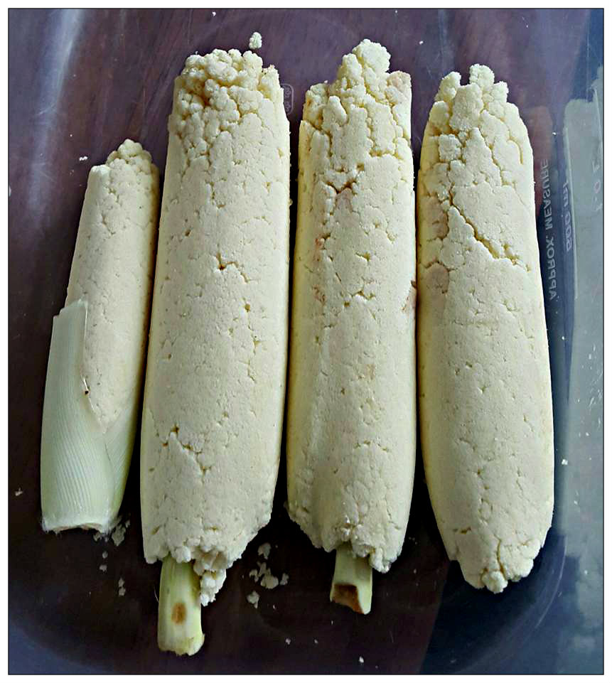 My Green Eye's: Tebu Telur