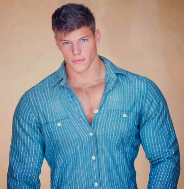 Into the Vault BUILT by tallsteve: August 2017