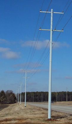 POE'S DEADLY DAUGHTERS: Consider the humble utility pole