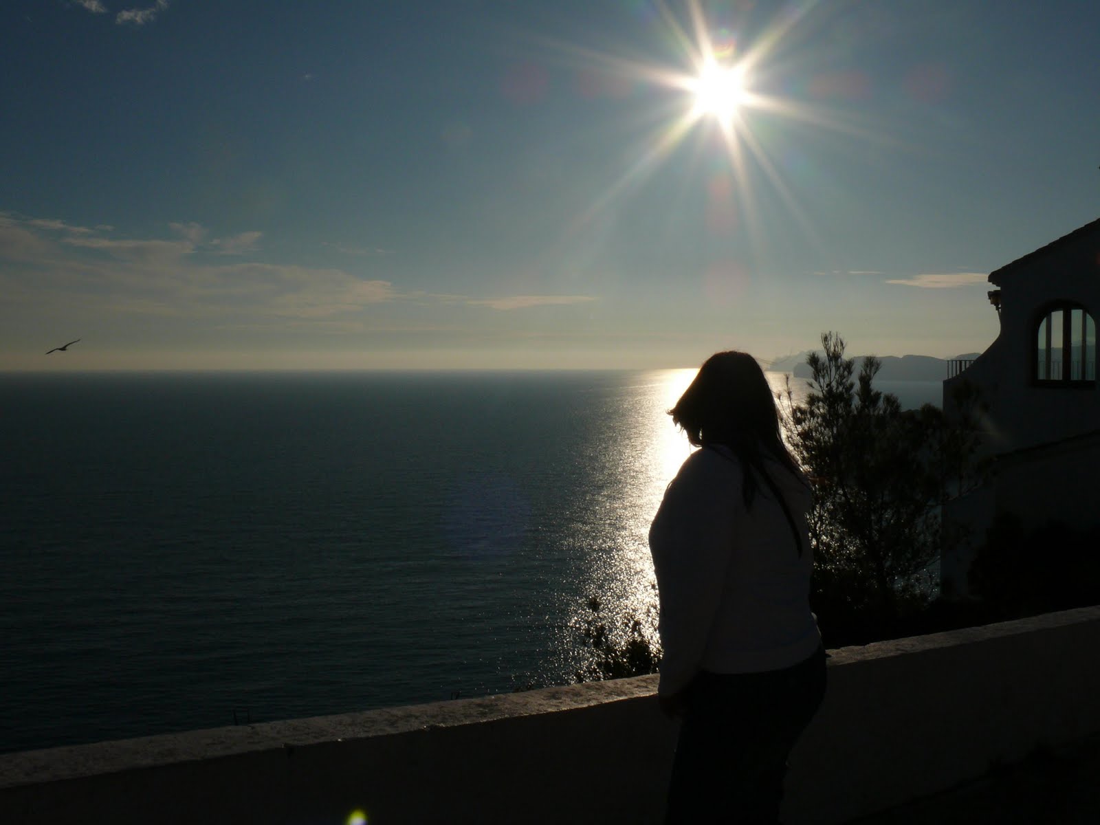 FOTOS JM.G: A CONTRALUZ