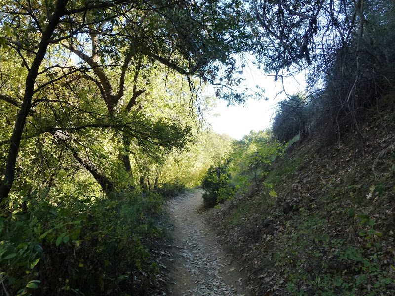 Hiking Oak Glen Preserve (The Wildlands Conservancy)