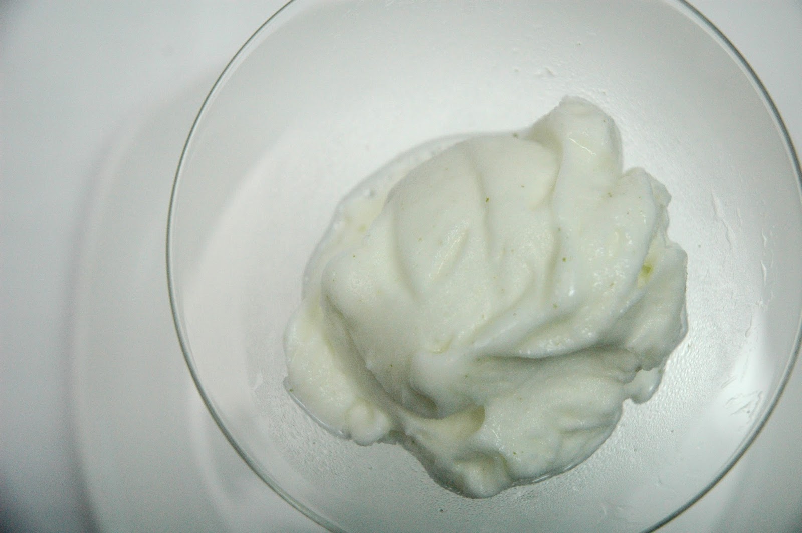 DUDE FOR FOOD: Italian Flair: An Italian Affair at FABTECH's Gelateneo ...