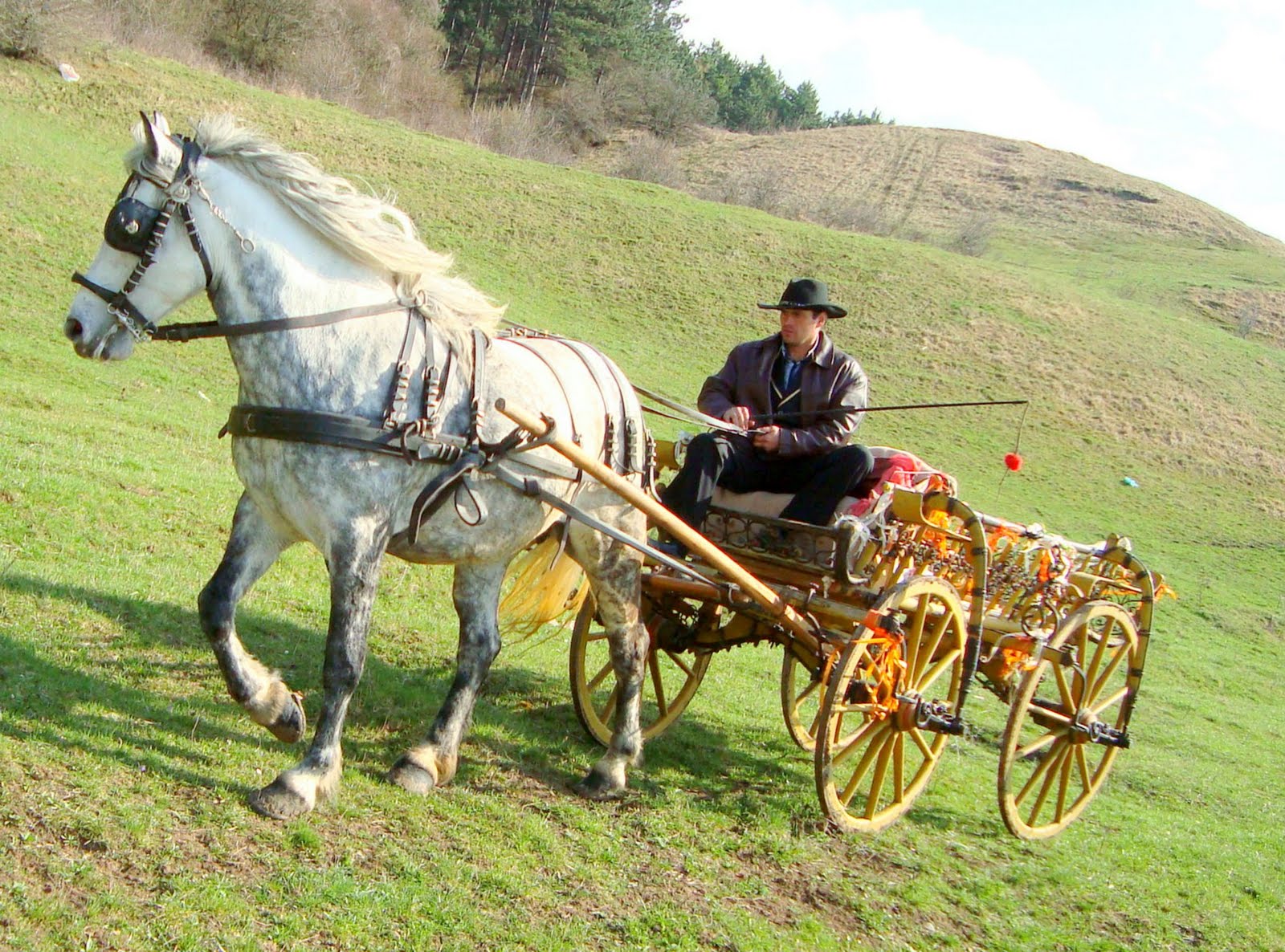 Nunta "Vis-a-Vis": Caruta tiganeasca