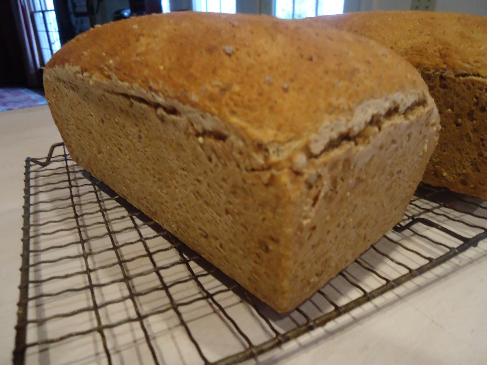 The Salty Gardener: Ezekial Bread Toasting Loaf