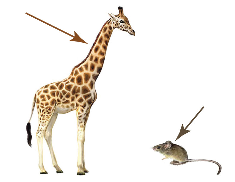 P4K: Playing the game of life...FOR KEEPS.: March 2013