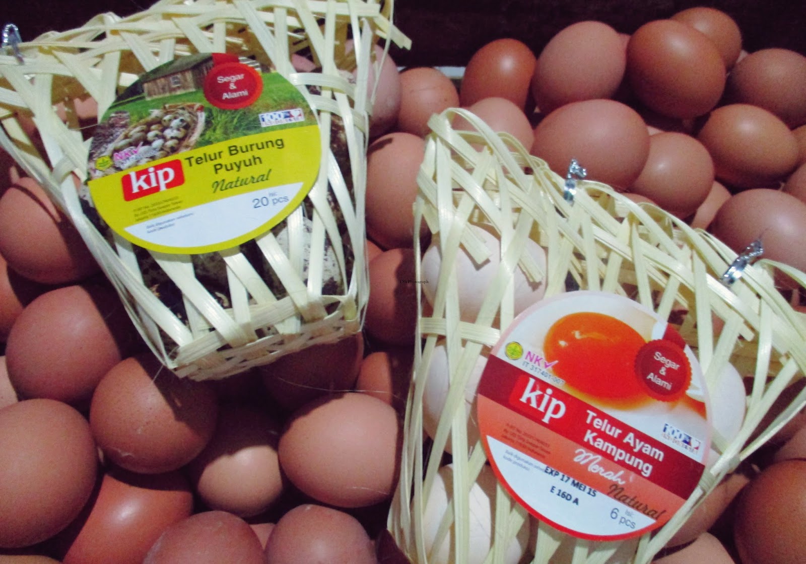ITEM KIP TELUR AYAM KAMPUNG DAN KIP TELUR PUYUH: Mei 2015