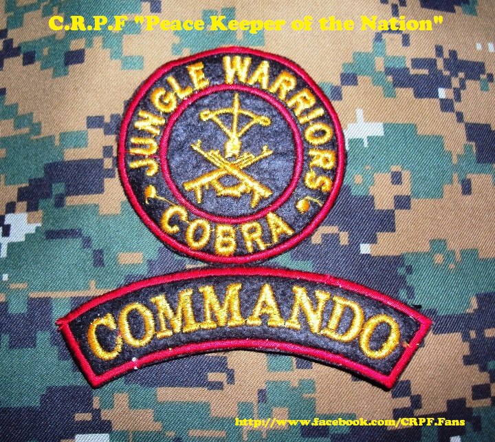 COBRA ( COmmando Battalion for Resolute Action) | AP Heritage