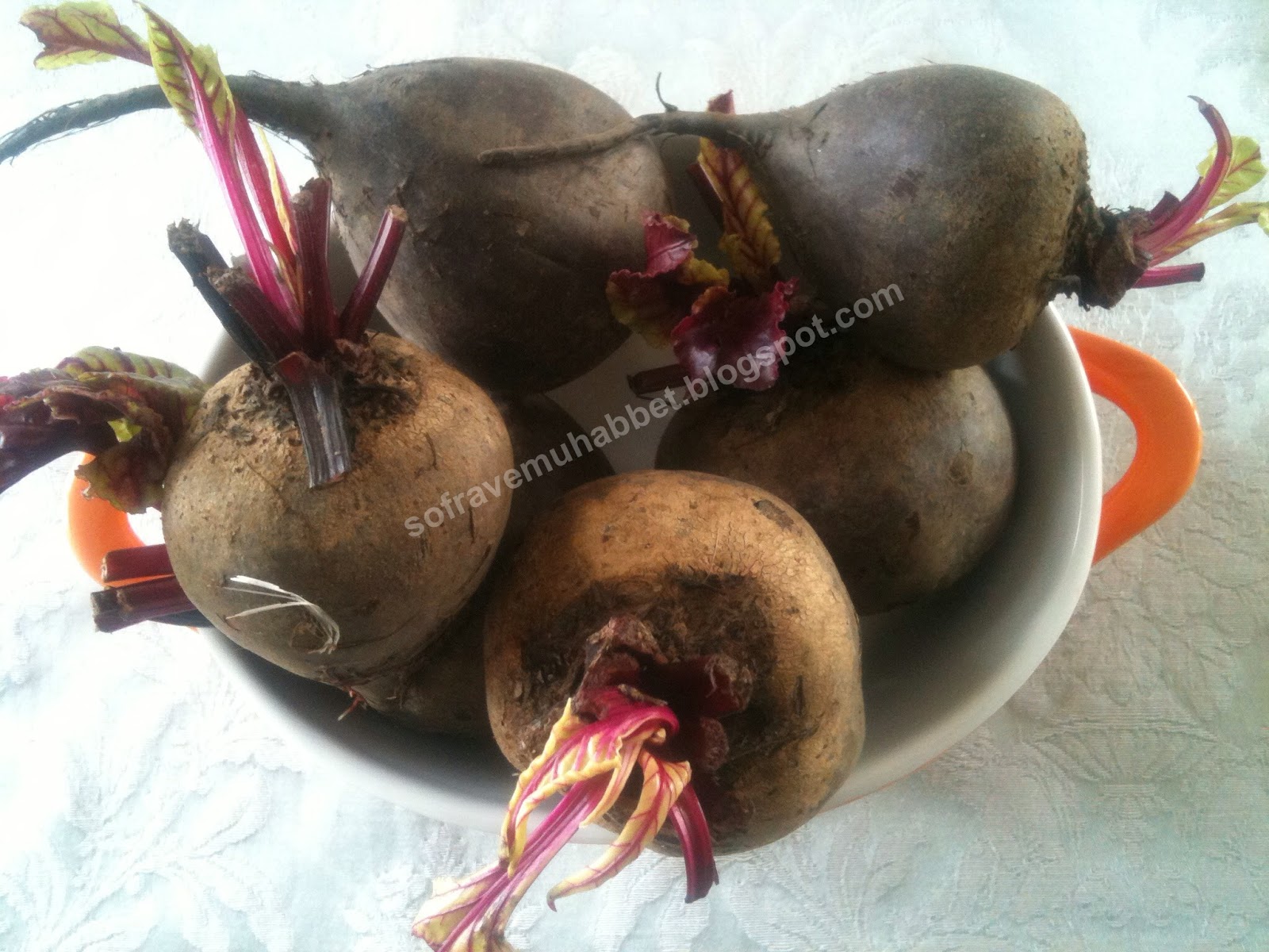 Sofra ve Muhabbet: PANCAR TURŞUSU