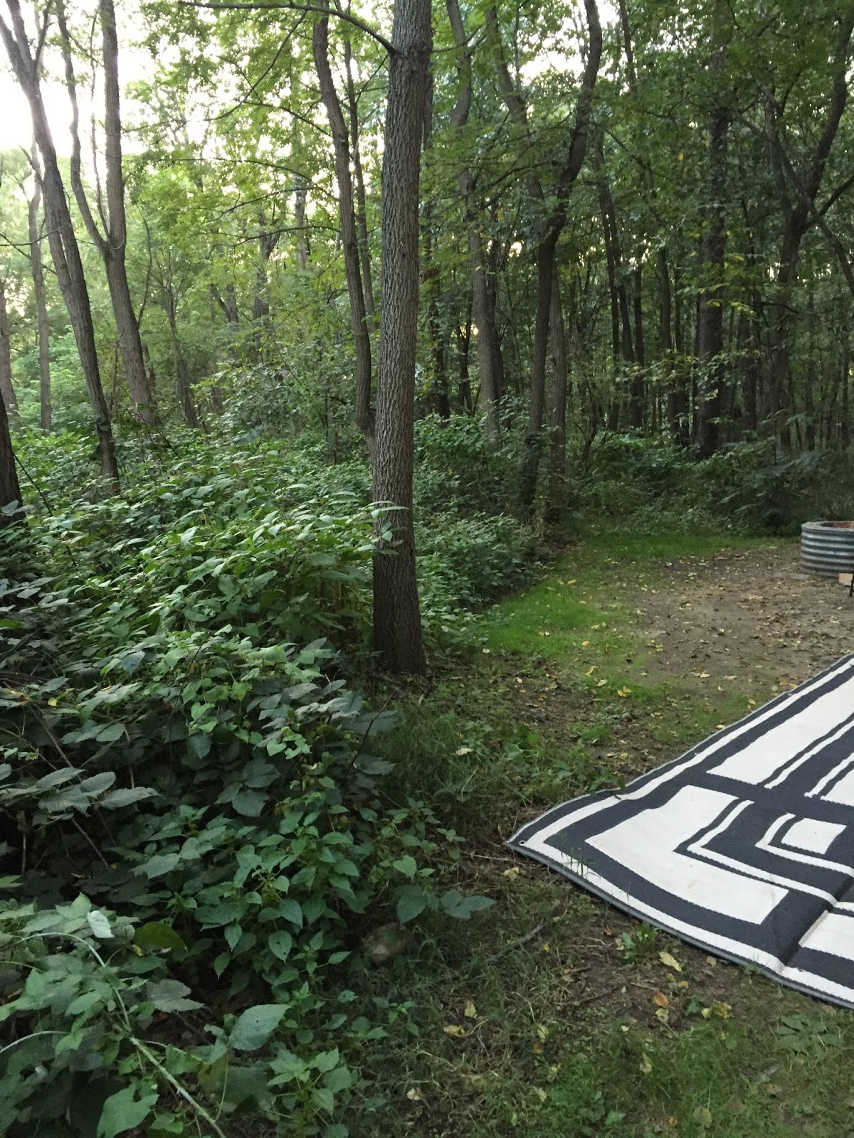 Travel Reviews & Information: Battle Creek, Michigan region / Fort ...