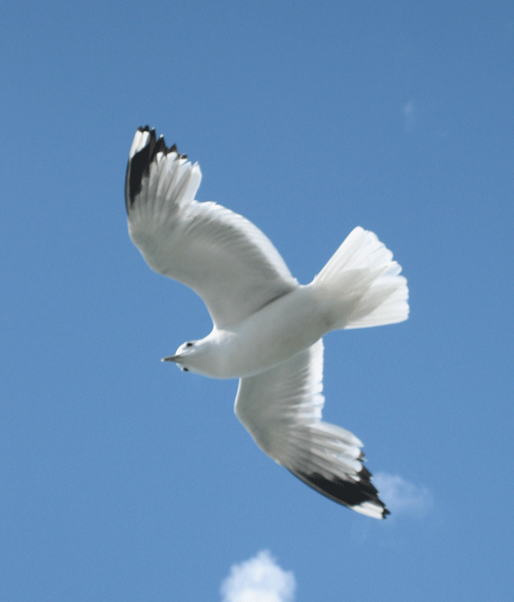 Recovery And Treatment For Alcohol and Drug Addicts