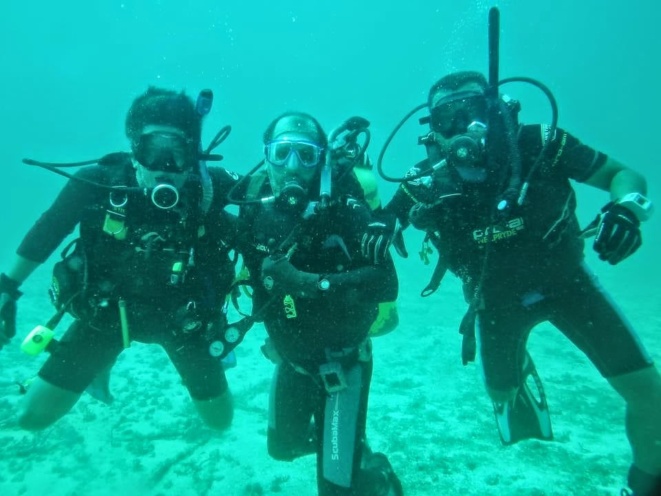 Buceo y snorkeling, excursiones Isla Margarita, curso de buceo, ocio ...