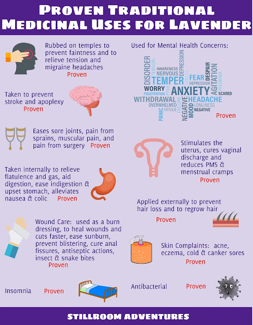 Lavender--The Ultimate Guide