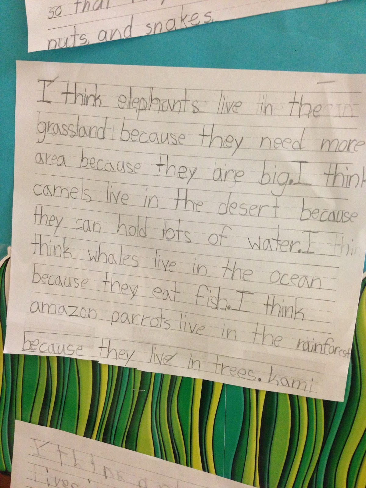 Bishop's Blackboard: An Elementary Education Blog: Animal Habitats