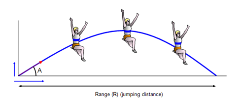 What are the optimal biomechanical principles of long jump?