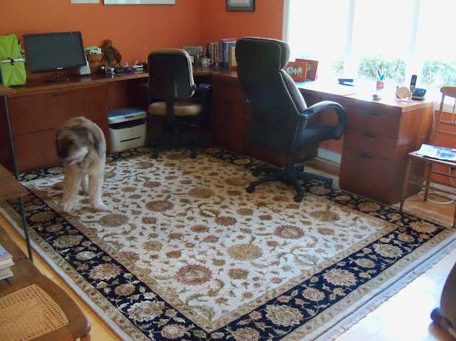Brandon Oriental Rugs: Home Office Rug Solution from Brandon Oriental ...