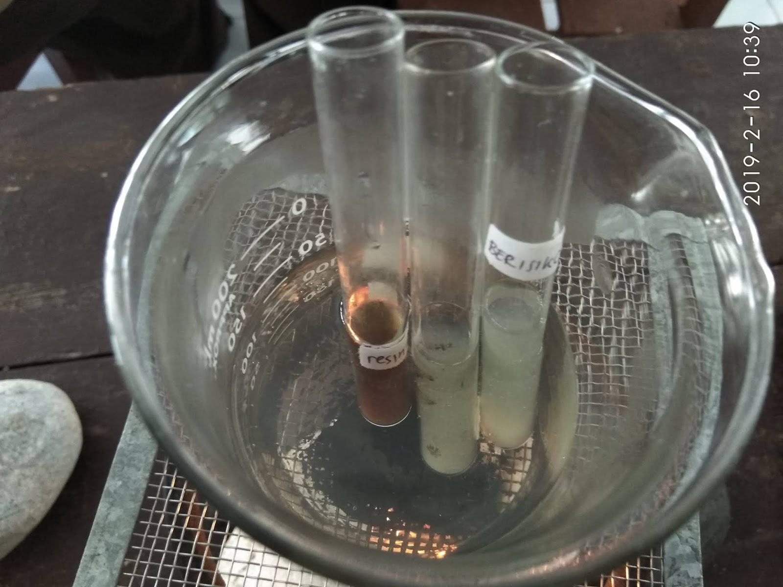 Praktikum Uji Kandungan Urin Manusia Oleh Kelas XI MIA 2 dan XI MIA 3 ...