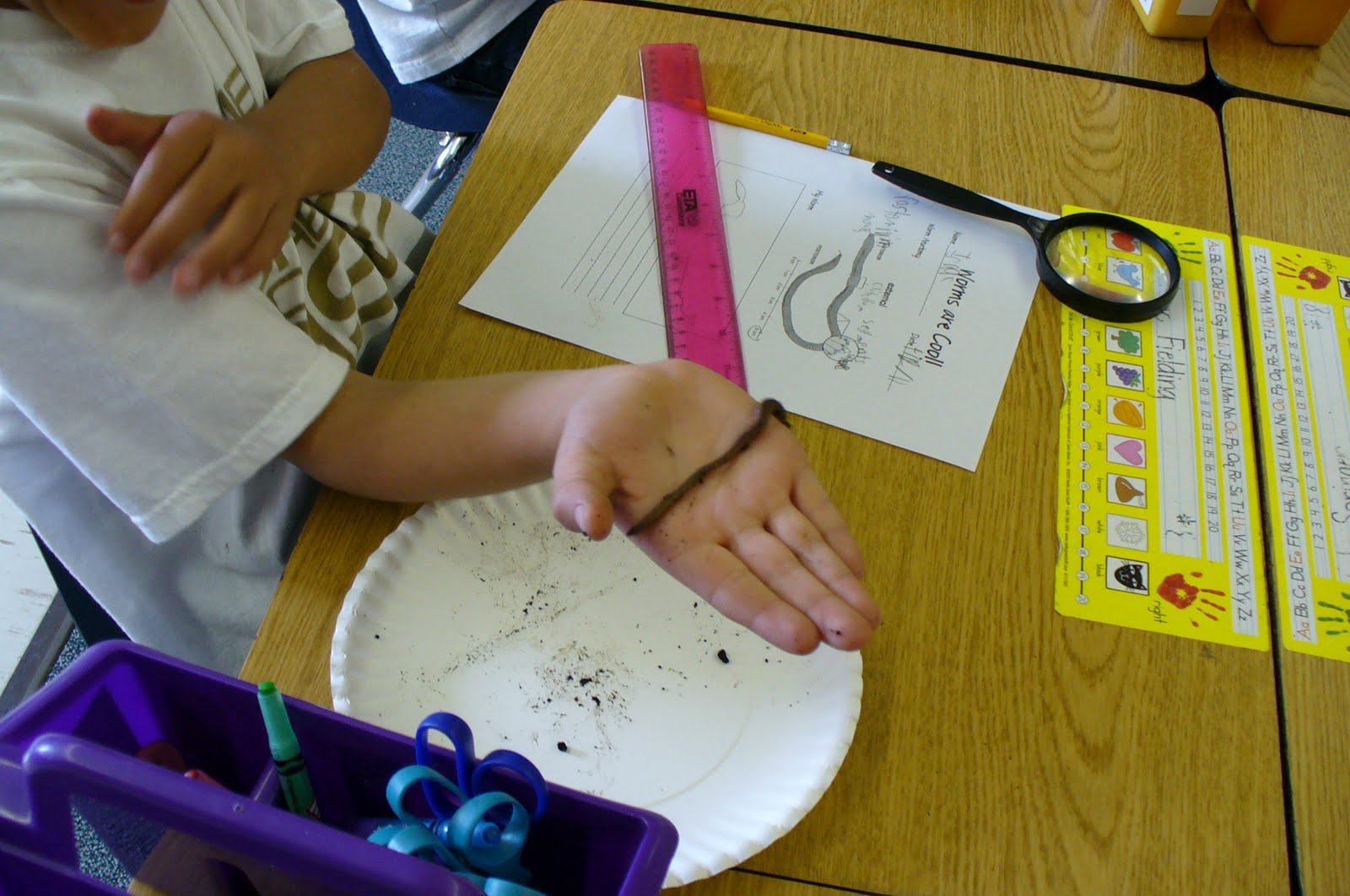 Fun For First: Worms!