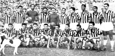 Jornalisticamente Falando...: Biriba, o mascote do Botafogo