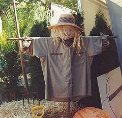 Little Mind Teaches Big Lessons: Fun Day: How to Make a Scarecrow
