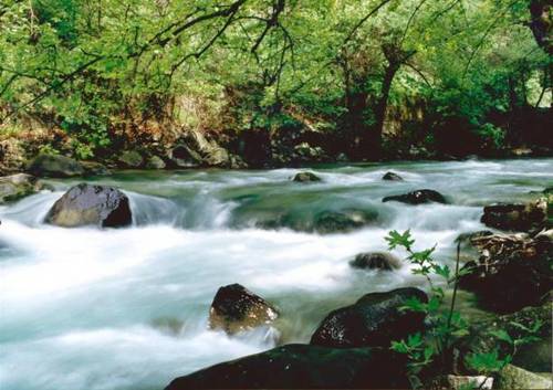Το νεράκι: ΤΟ ΝΕΡΟ ΠΗΓΗ ΖΩΗΣ