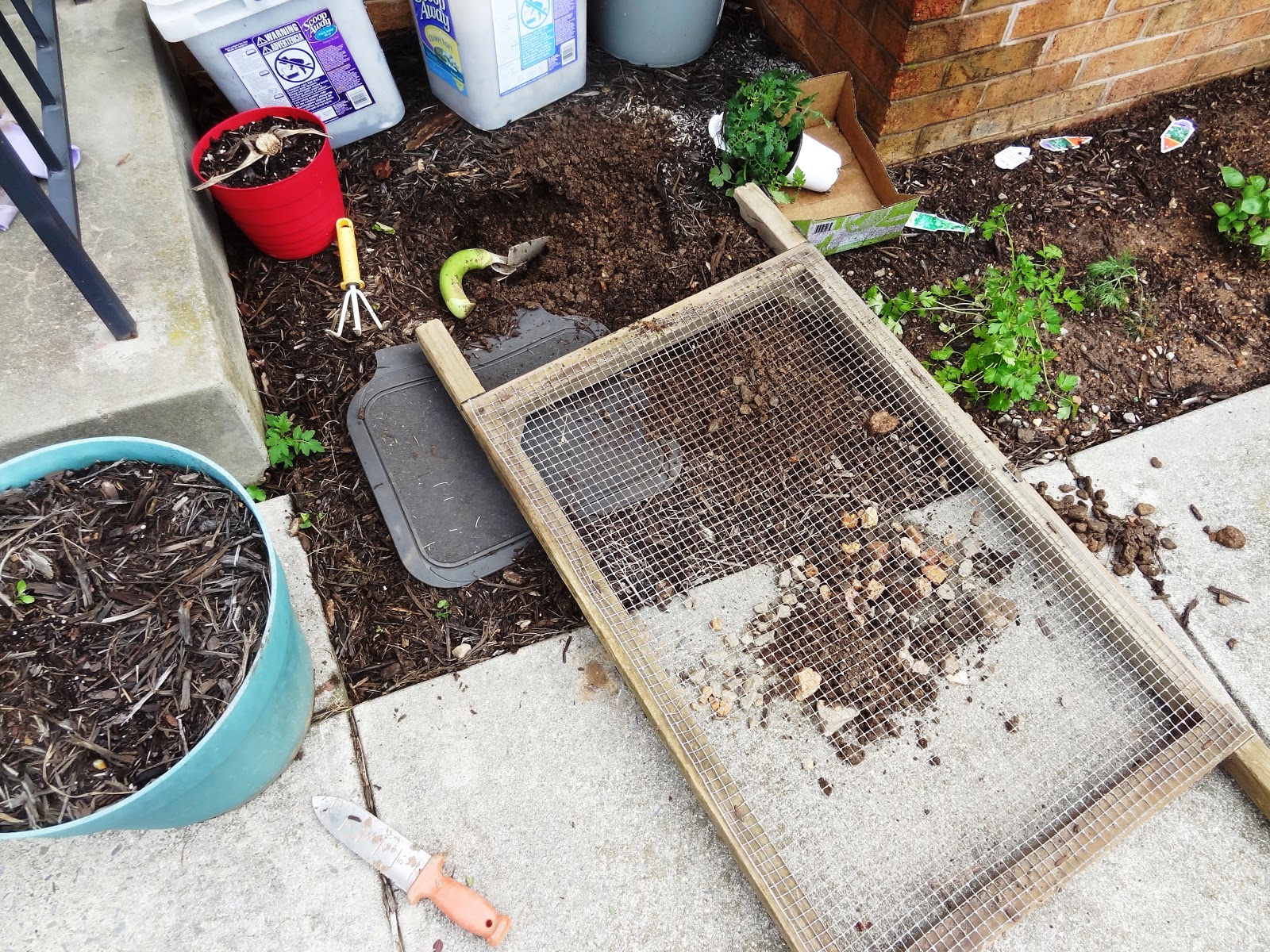 Live and Learn-Toss and Turn: D is for Determination