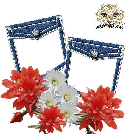 Miriams-scrap: Pocket Frames with flowers