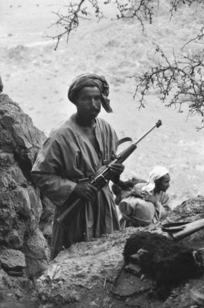 Guerrilla War for Algeria, Revolution, counter-insurgency and the ...