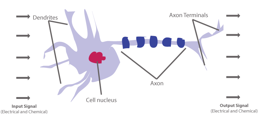 What is Neural Networks and how it works