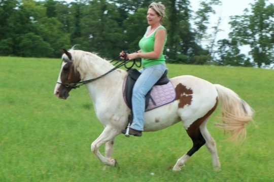 our adventures at ro-no ranch