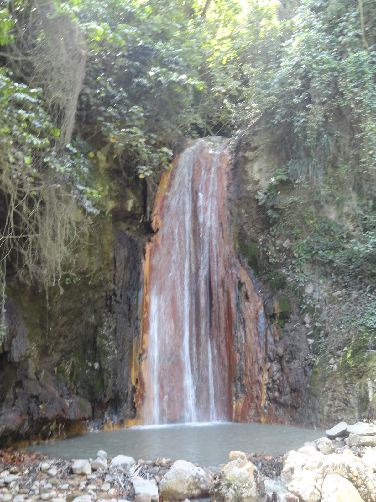 Thursday's Child: Diamond Falls Botanical Gardens, Saint Lucia | Of ...
