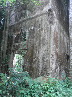 SENI LAMA MELAYU (MALAY OLDEN ART): Istana (Palace of) Raja Bersiong?