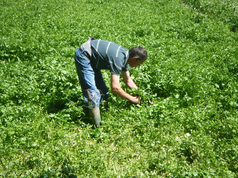 Isaure de Saint Pierre en voyage: LES BONS PLANS DE TINTINE