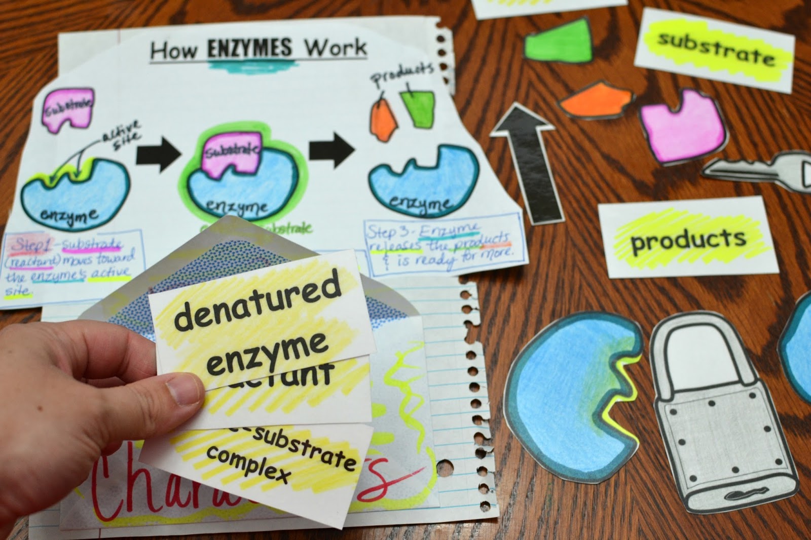Math in Demand: Science Interactive Notebook - Cells