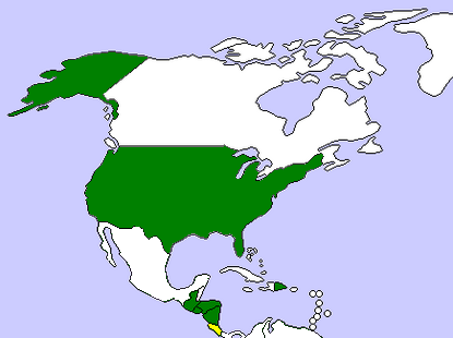 CAFTA (TRATADO LIBRE COMERCIO) | El gran mundo del Comercio Internacional