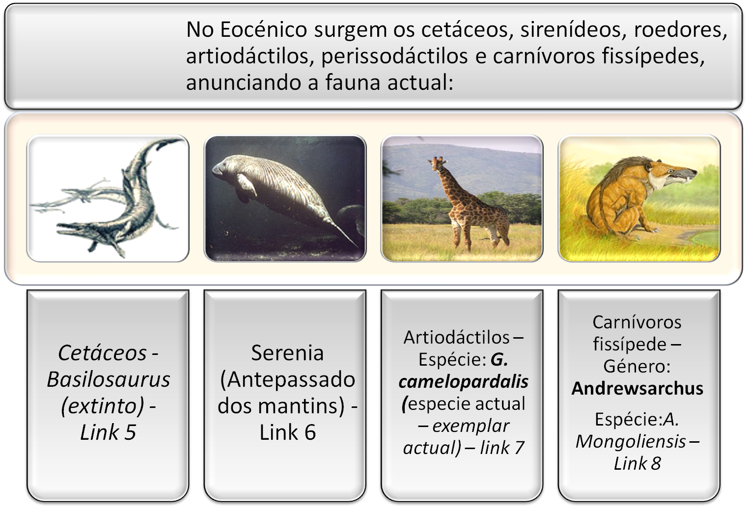 EstratoBlografia: Geistória: Era Cenozóico - Periodo Paleogénico