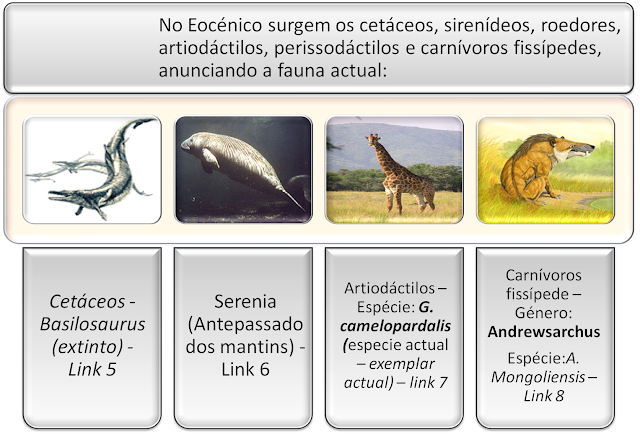 EstratoBlografia: Geistória: Era Cenozóico - Periodo Paleogénico