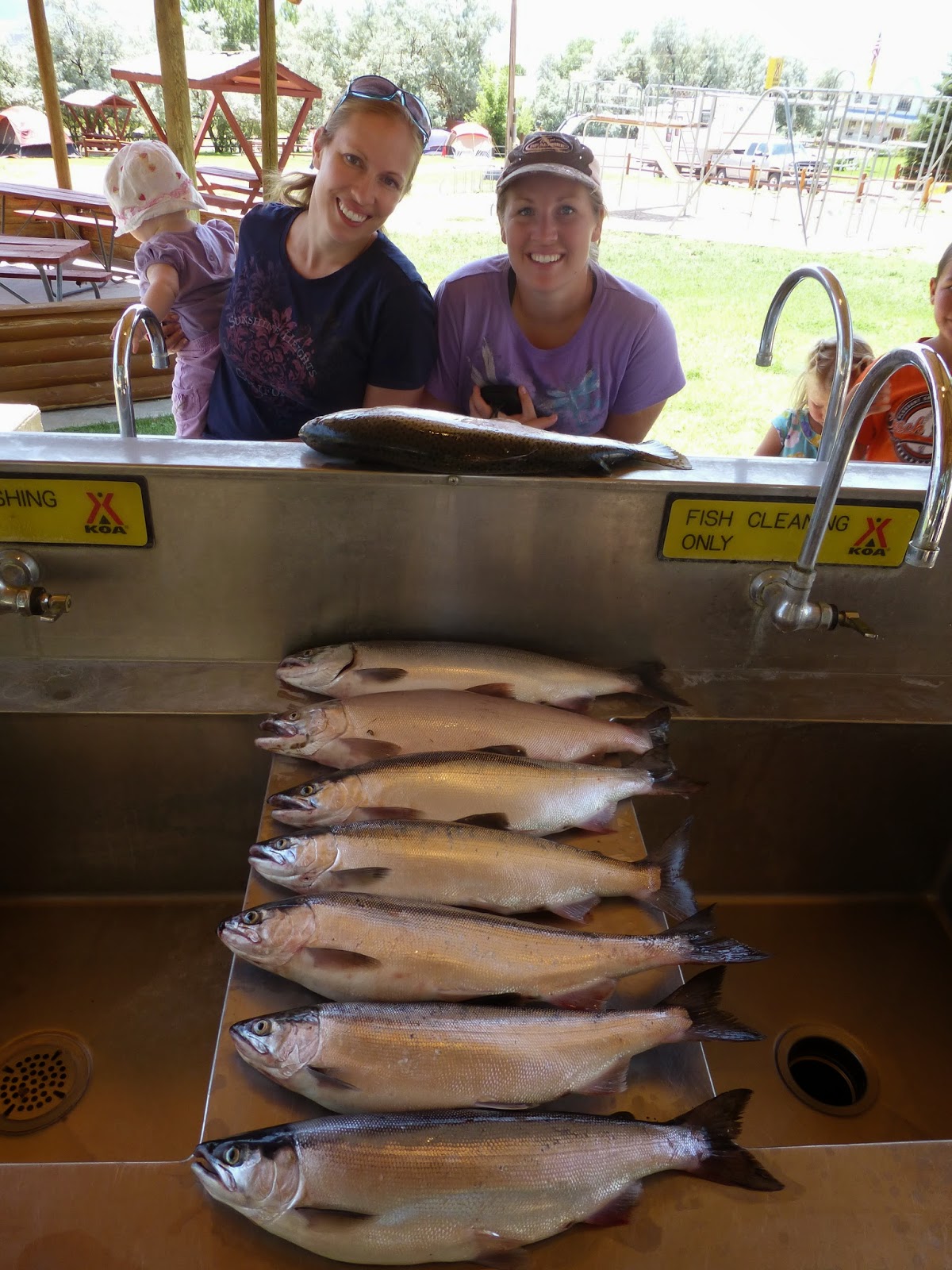 Utah Fisherman: Victory at Flaming Gorge