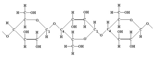 Pengertian dan Klasifikasi Karbohidrat - EDUBIO