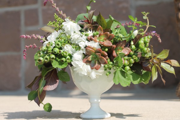 Loda: Floral Compote Design